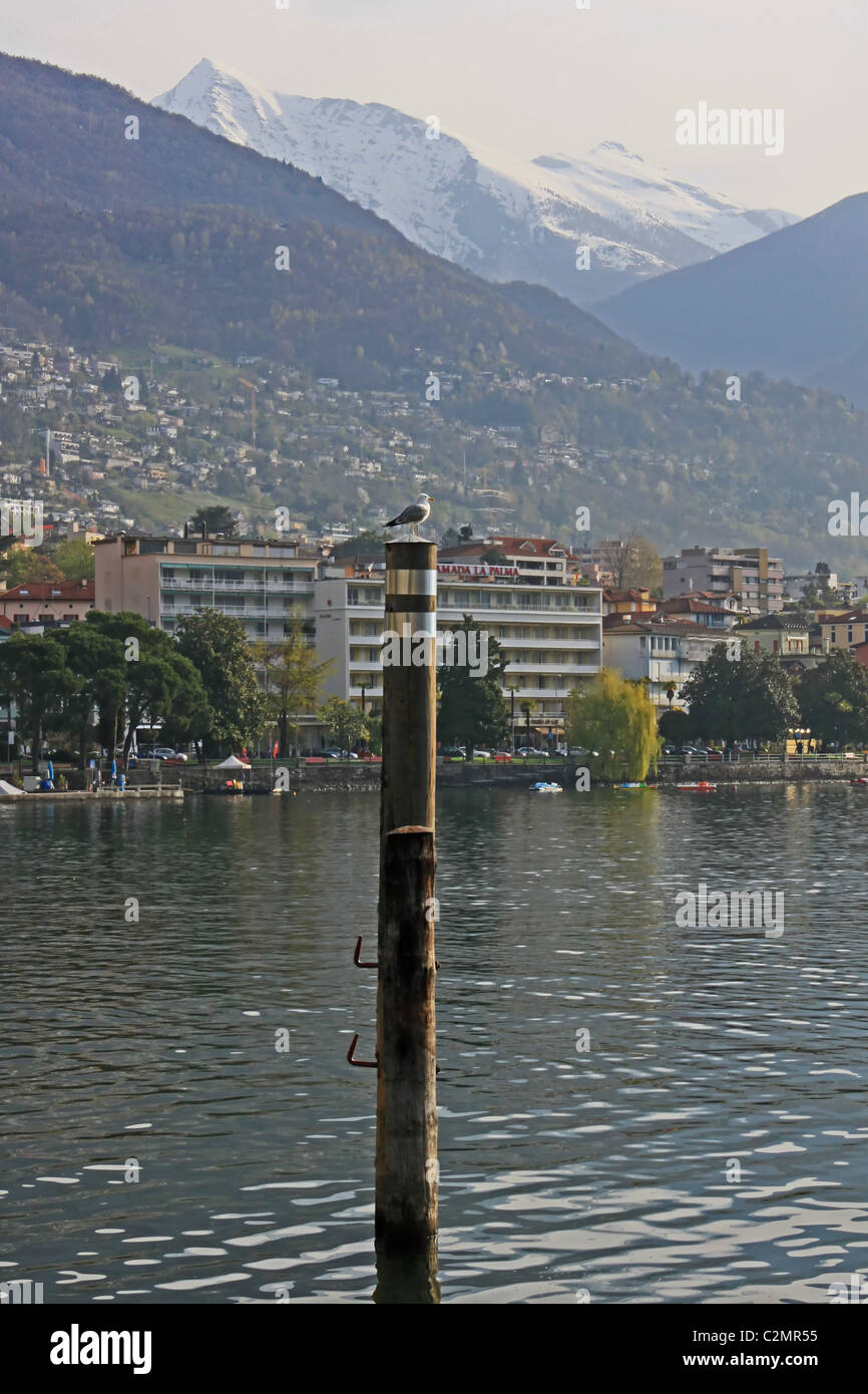Lake maggiore locarno hi-res stock photography and images - Alamy