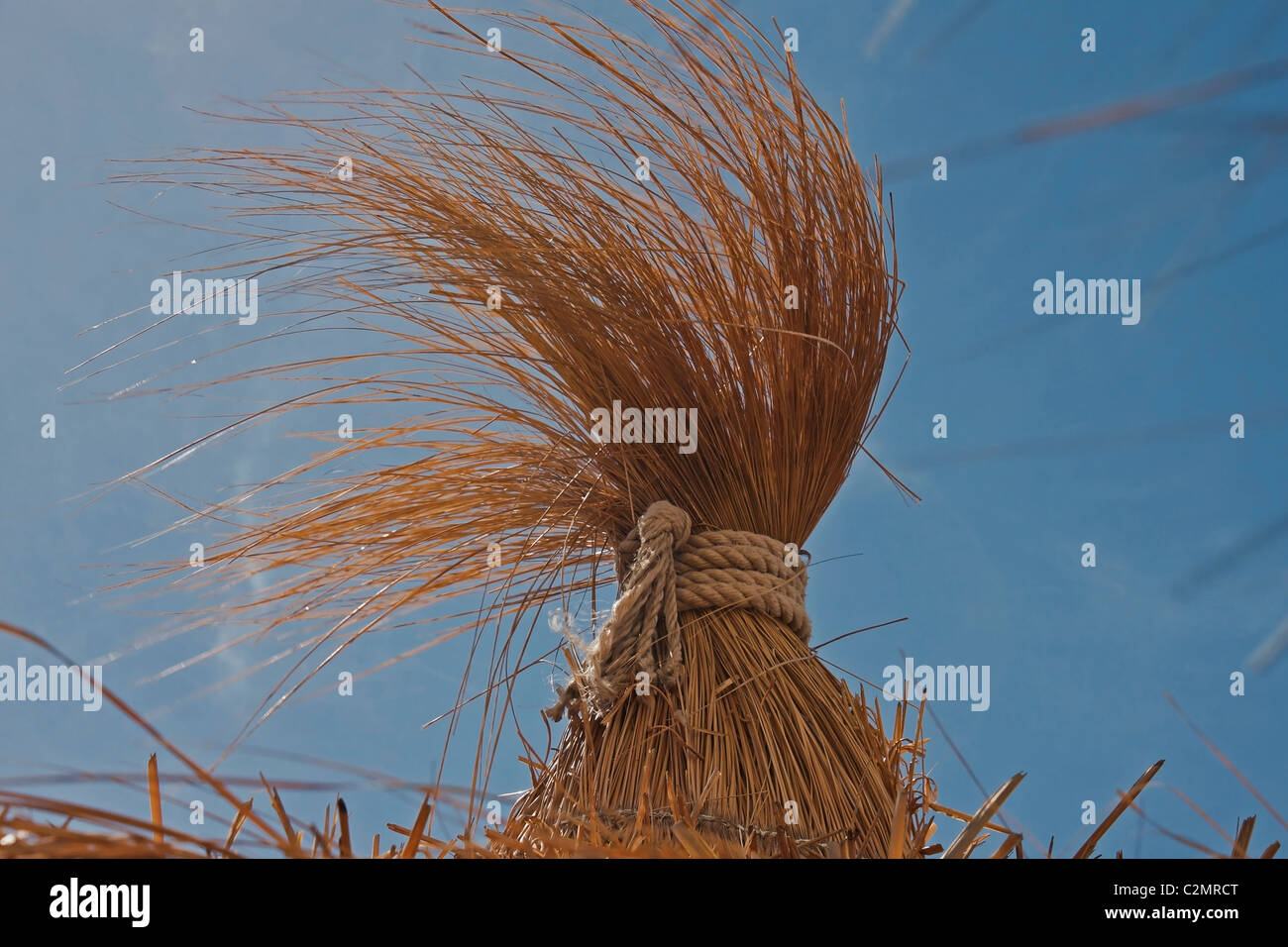 a windy day Stock Photo - Alamy
