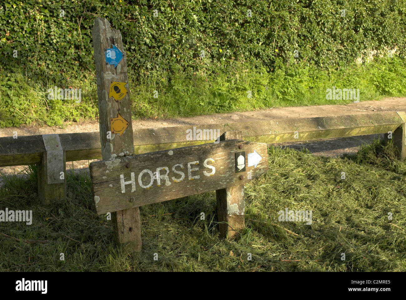 A dilapidated sign post featuring the South Downs Way and Horses in the ...