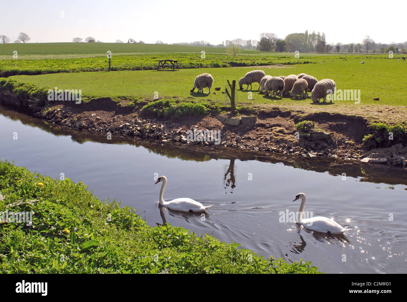 The River Anker, Mancetter, Warwickshire, England, UK Stock Photo - Alamy