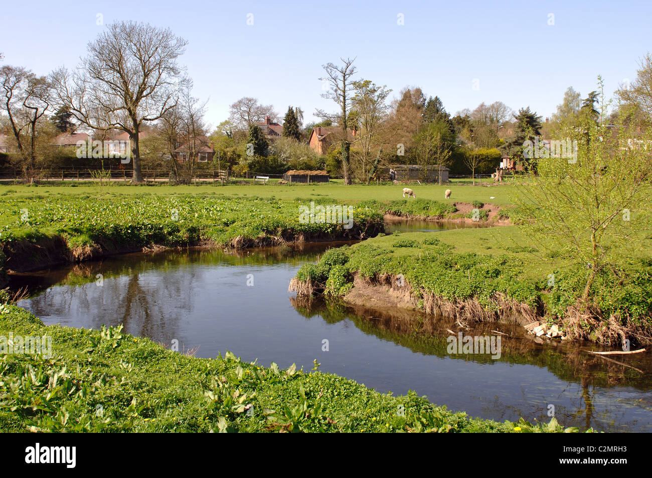 The River Anker, Mancetter, Warwickshire, England, UK Stock Photo - Alamy
