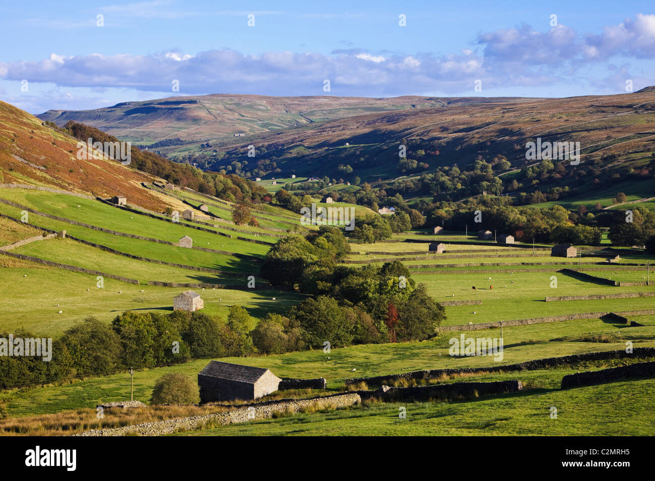 Yorkshire Dales National Park view over Swaledale, England UK Stock ...