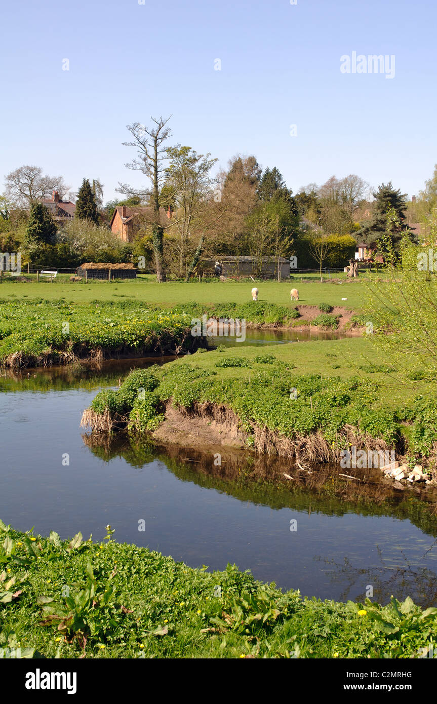 The River Anker, Mancetter, Warwickshire, England, UK Stock Photo - Alamy