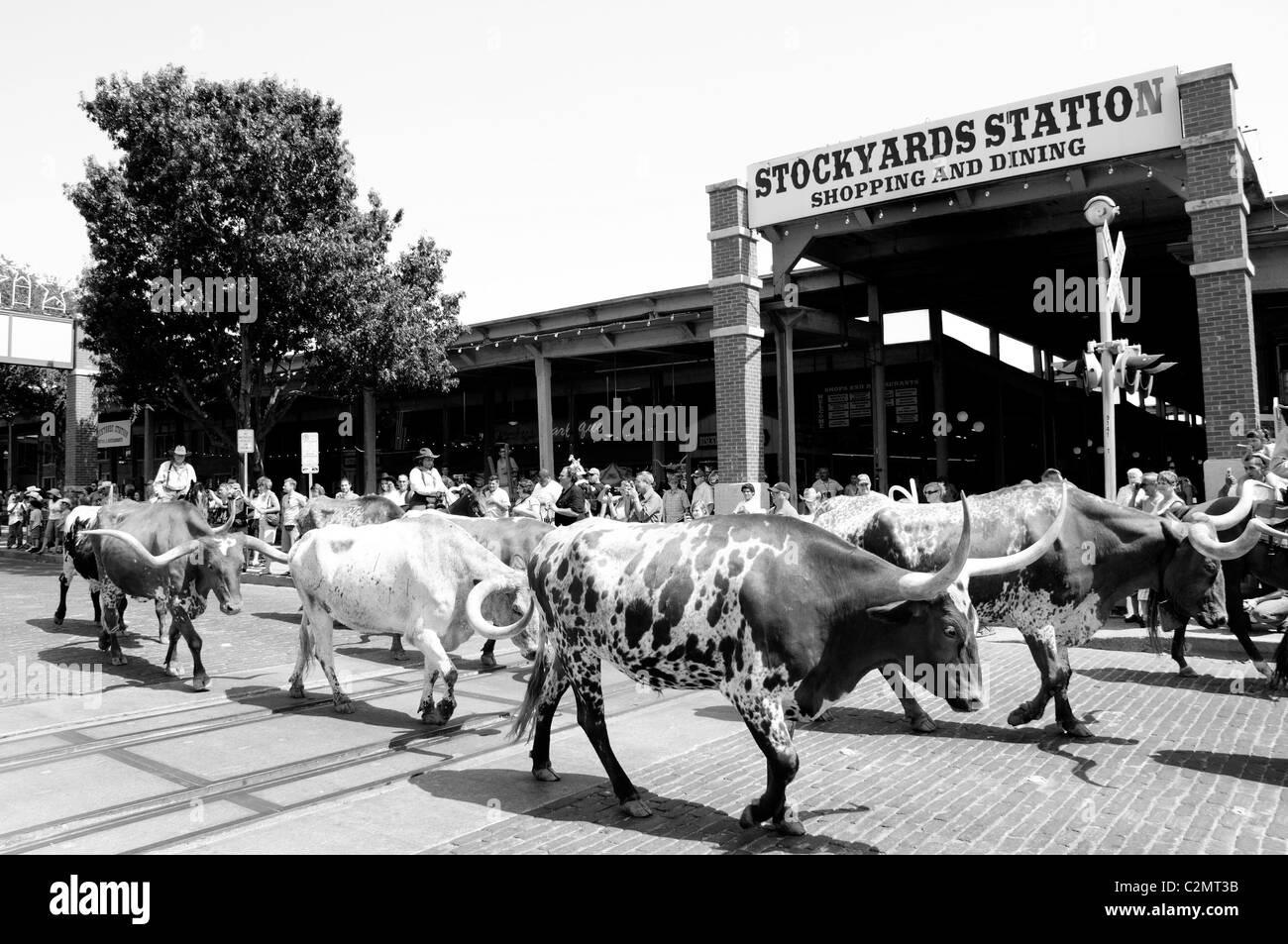 Fort Worth Stockyards Black and White Stock Photos & Images - Alamy