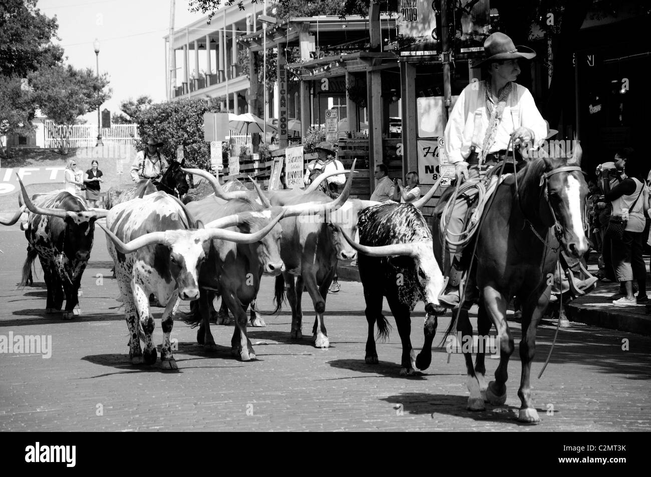 Fort worth stockyards Black and White Stock Photos & Images - Alamy