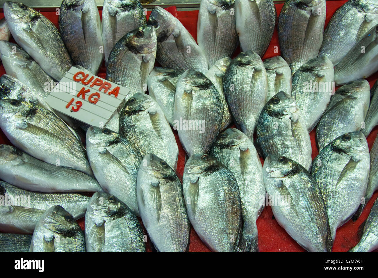 Fish on a Turkish Fish Stall in Istanbul Stock Photo - Alamy