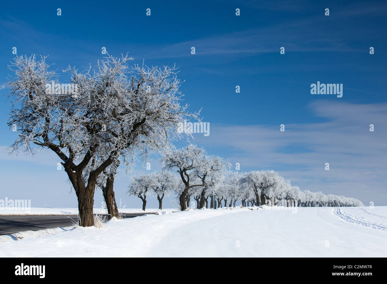 Empty road in winter Stock Photo - Alamy