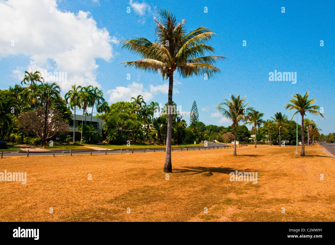 palms along the coast in Darwin, Australia Stock Photo - Alamy