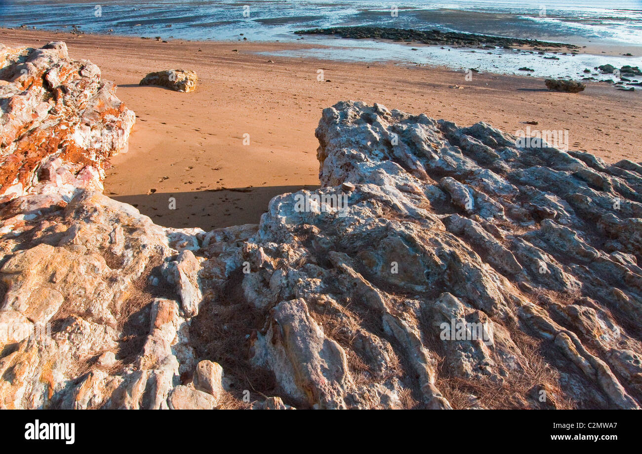 the ocean coast in Darwin, Australia Stock Photo - Alamy