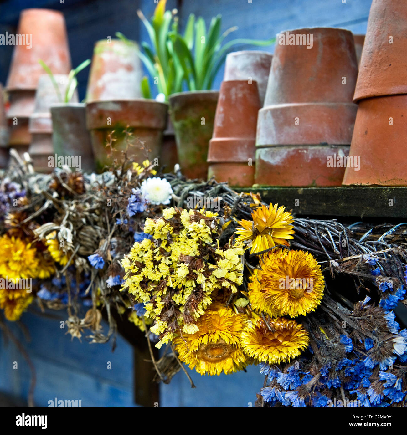 Flowers, gardens & plants Stock Photos & Images from Alamy