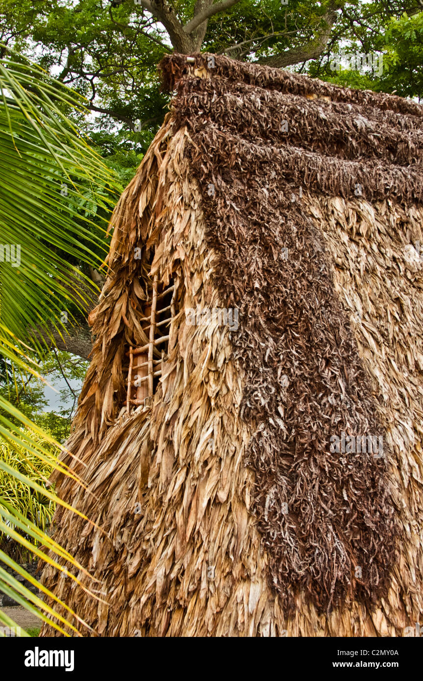Native hut hi-res stock photography and images - Alamy