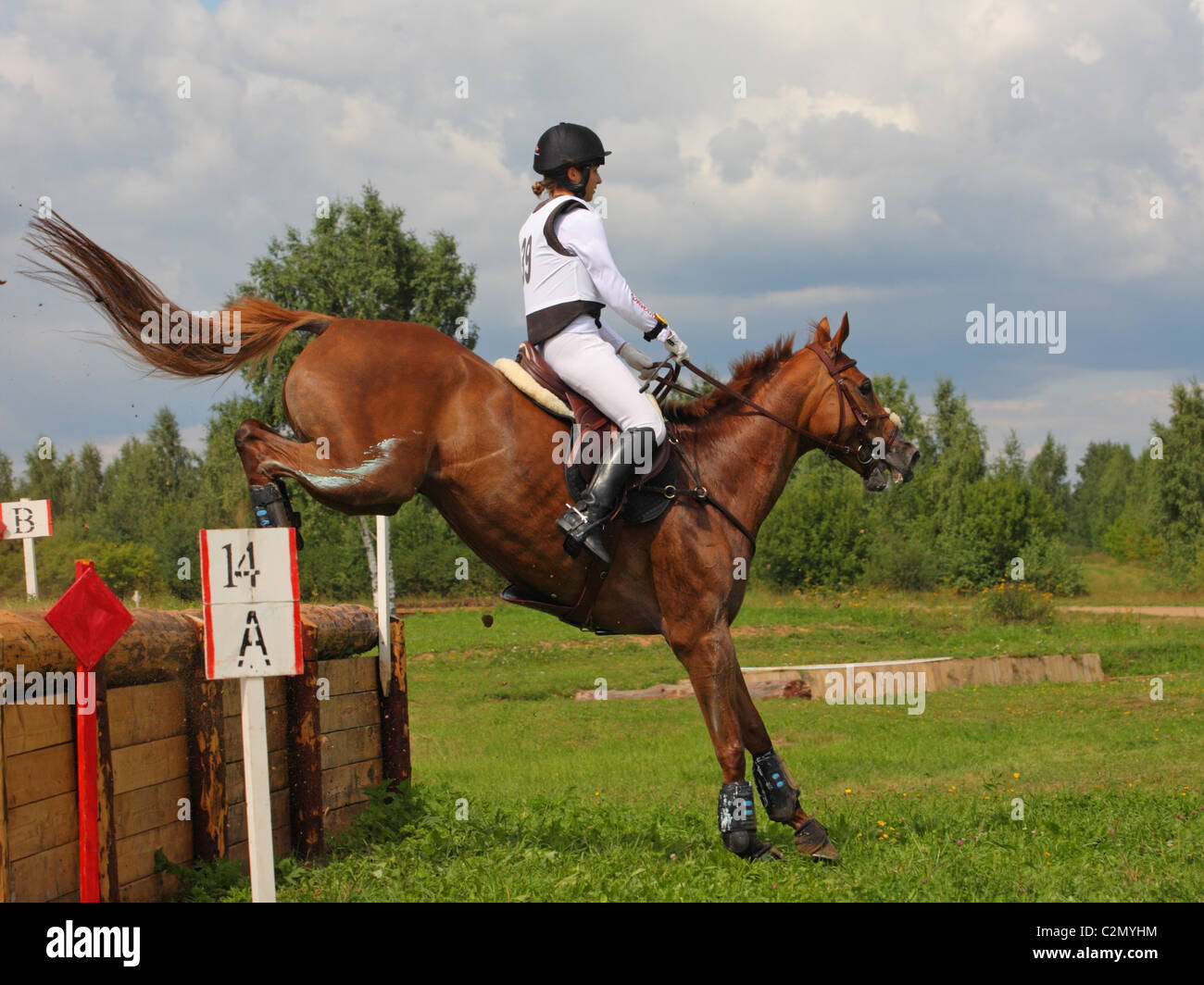 This horse and rider are navigating a jump combination Stock Photo - Alamy