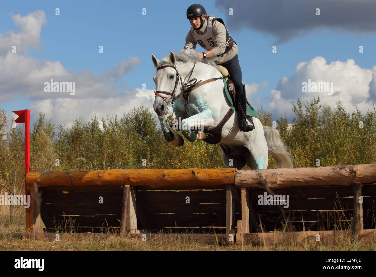 This horse and rider are navigating a jump combination Stock Photo - Alamy