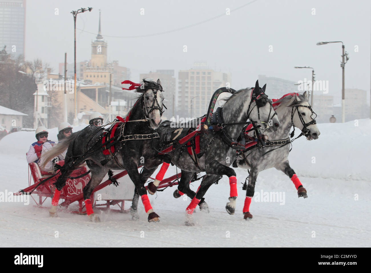 Russian Troika driving competitions in Moscow Stock Photo - Alamy
