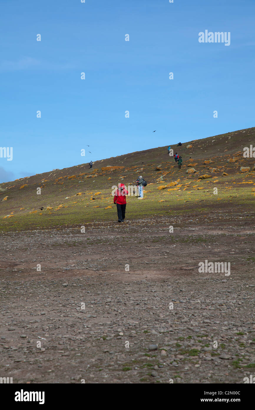 Expedition ship passengers with Johnny Rooks soaring overhead Stock ...