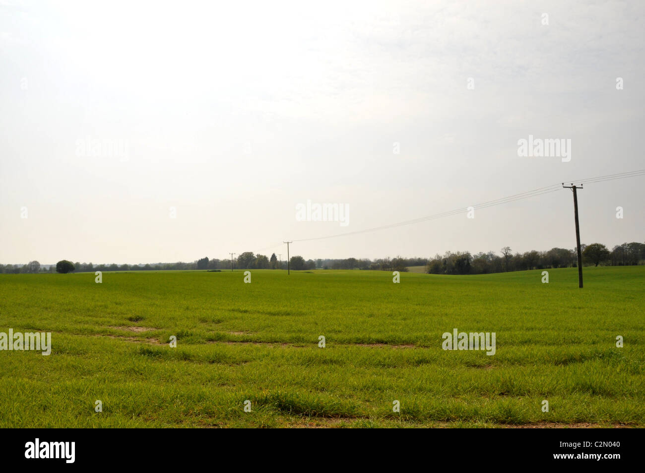 Landscape image of a farmers field with electricity pylons Stock Photo ...