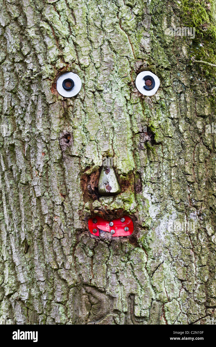 Funny face on a tree Stock Photo - Alamy