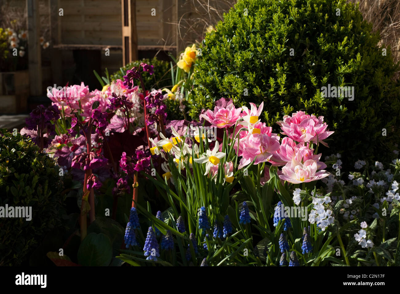 'Spring Time', show garden at RHS Cardiff Flower Show 2011 Stock Photo ...