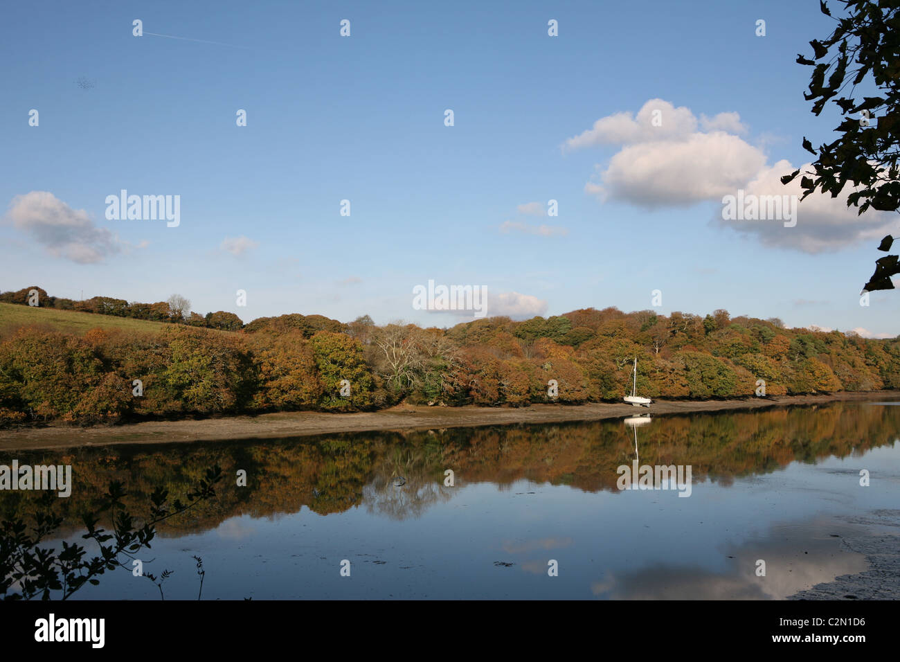 Creek near Turnaware Cornwall England Stock Photo - Alamy