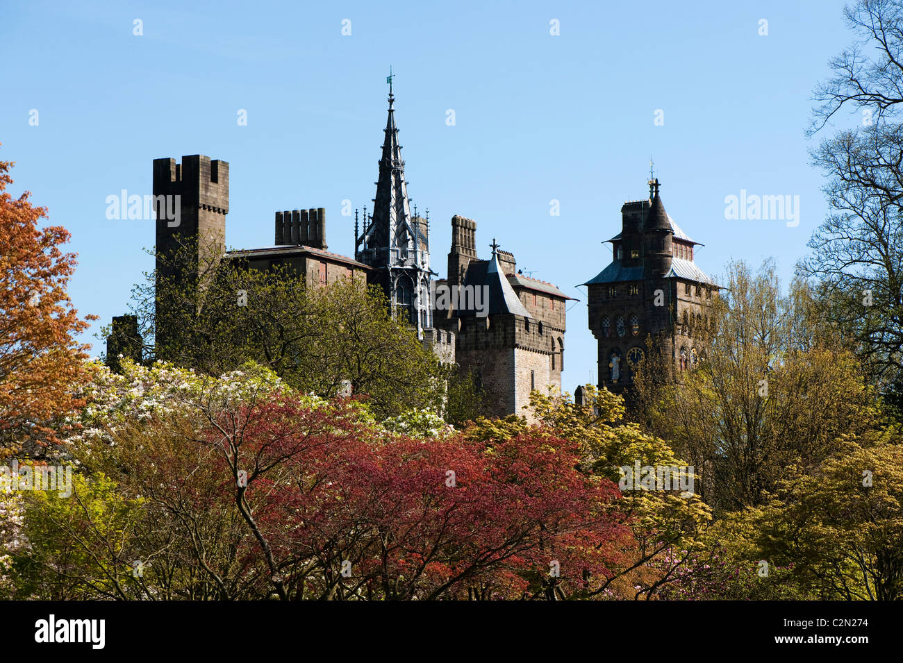 The towers of Cardiff Castle viewed across Bute Park in Spring, Wales ...