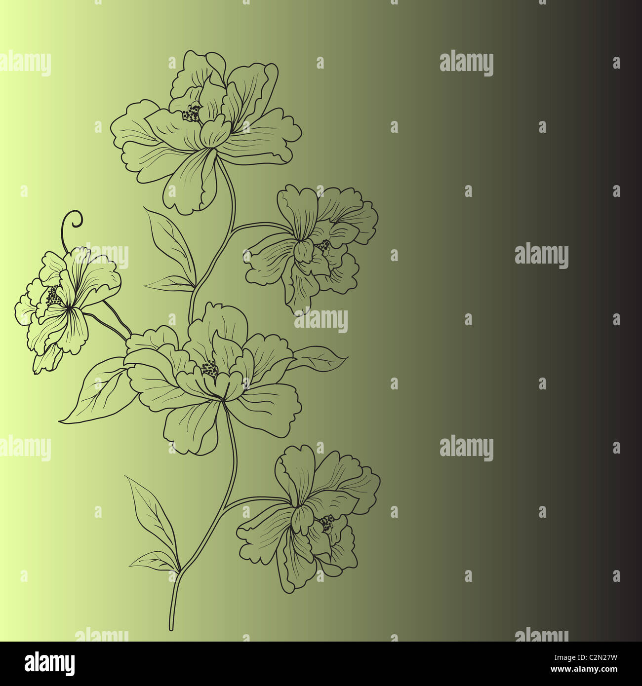 eps10 hand drawn background with a fantasy flower Stock Photo - Alamy