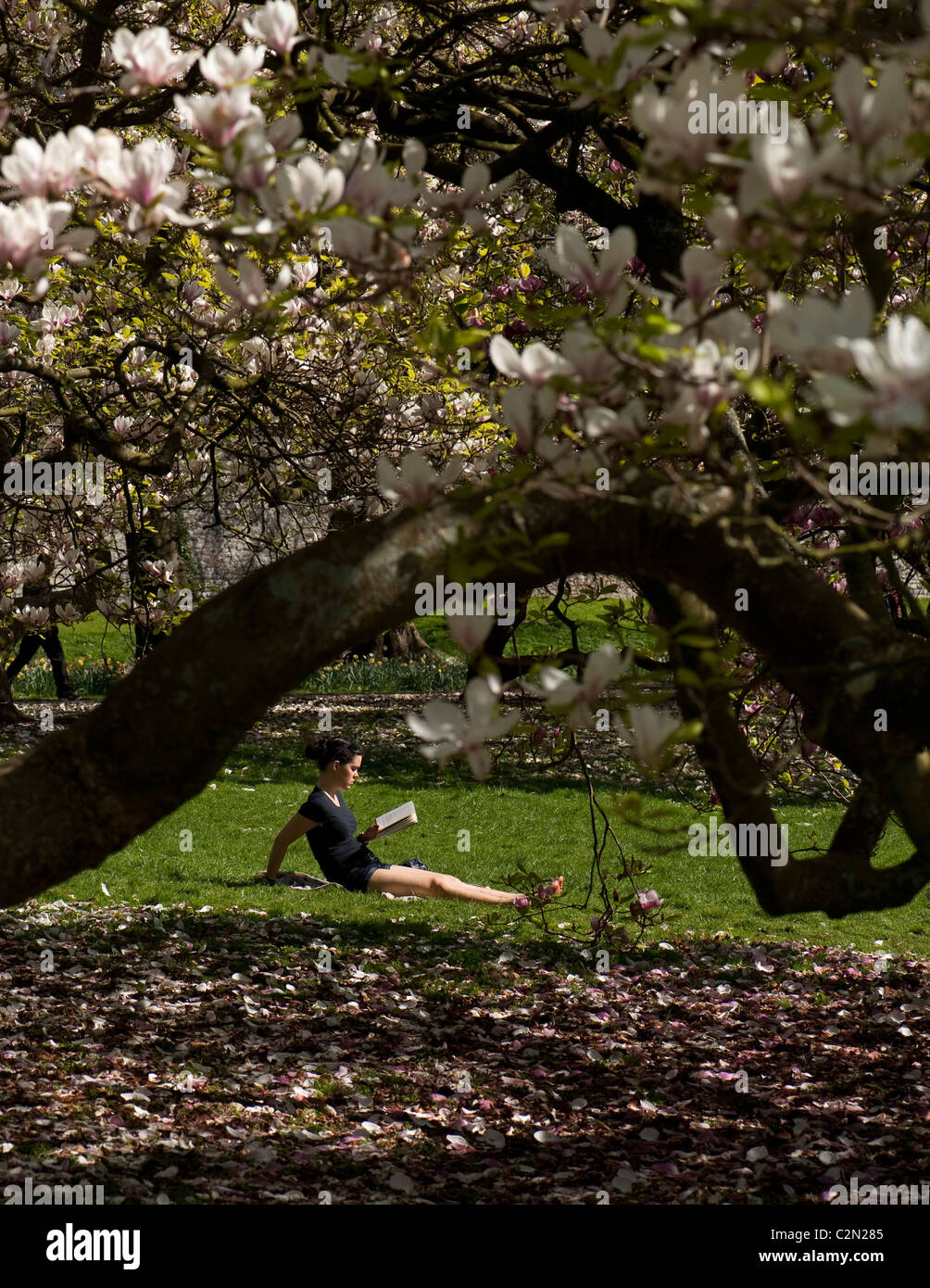 Young woman reading a book in Bute Park, Cardiff on a sunny spring day ...