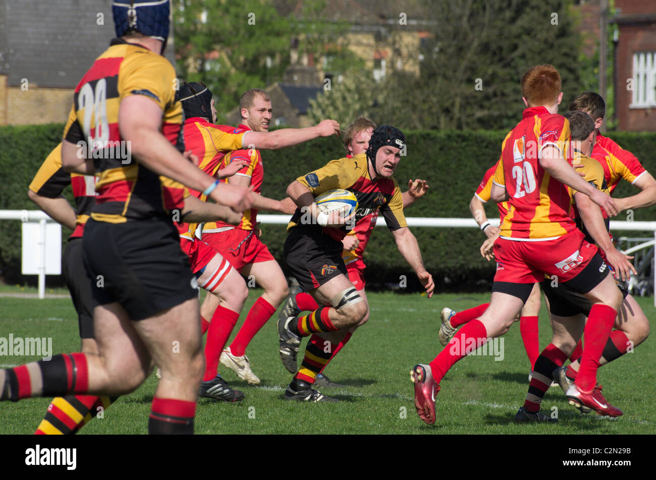 Richmond Rugby Football Club in action Stock Photo - Alamy