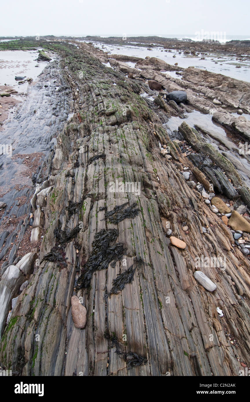 Magma texture hi-res stock photography and images - Alamy