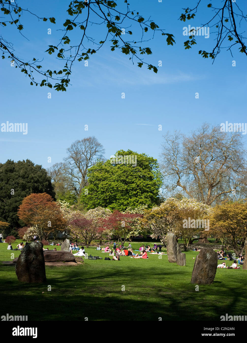 Gorsedd stone circle hi-res stock photography and images - Alamy