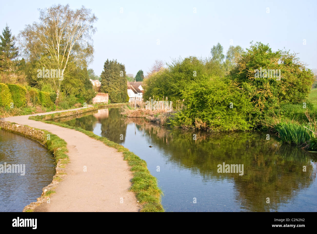 Loose maidstone hi-res stock photography and images - Alamy