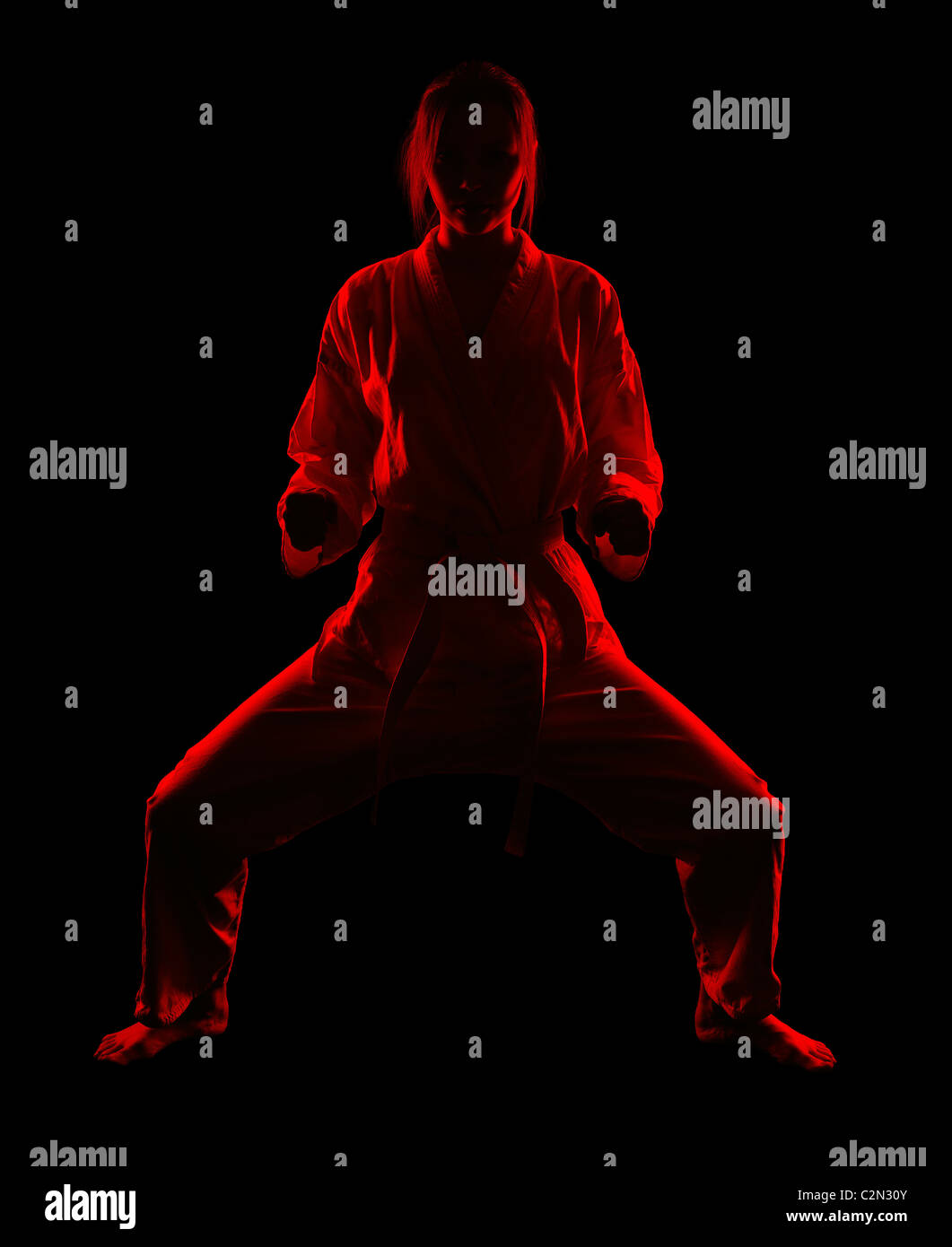 full-length silhouette portrait of beautiful martial arts girl in ...