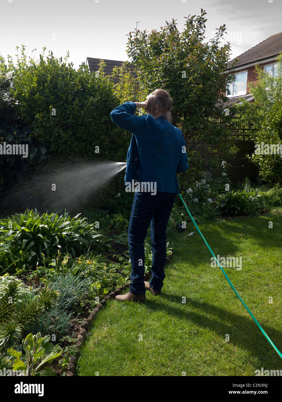 Woman using a hose pipe to water the garden Stock Photo - Alamy