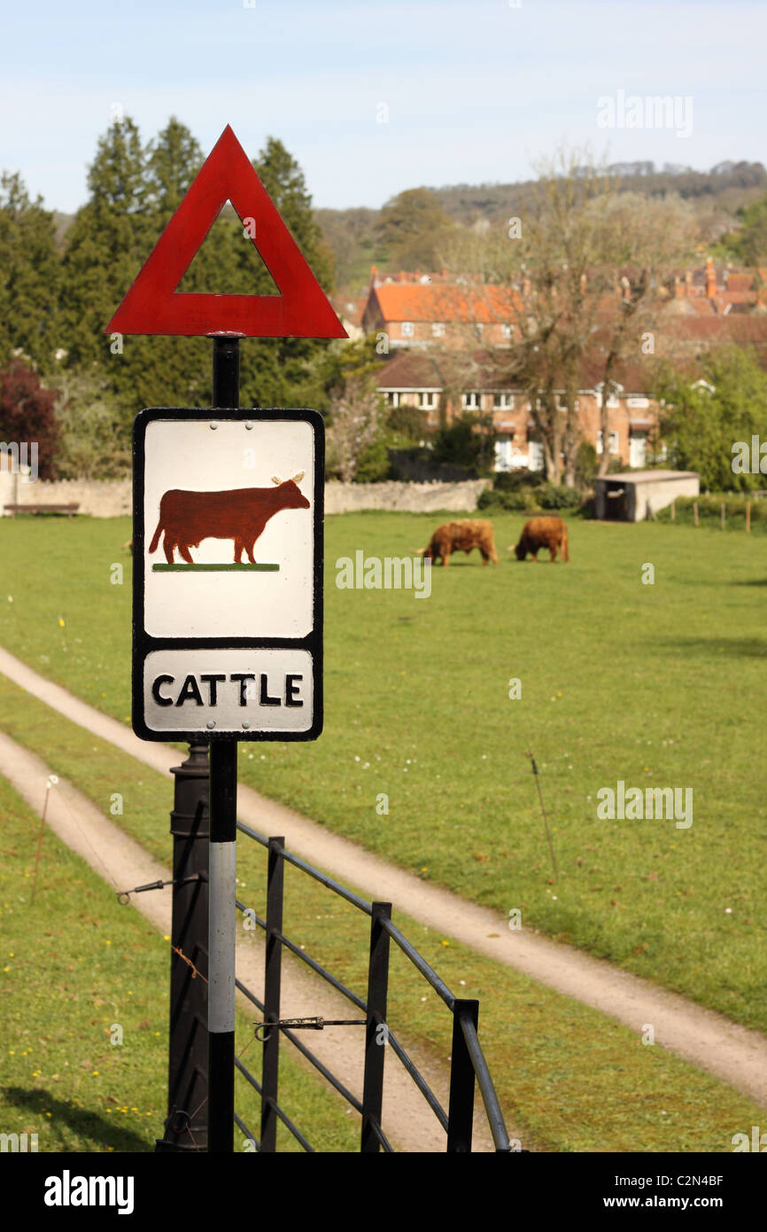Highland Cattle sign on pasture on edge of Wells Somerset UK Stock ...