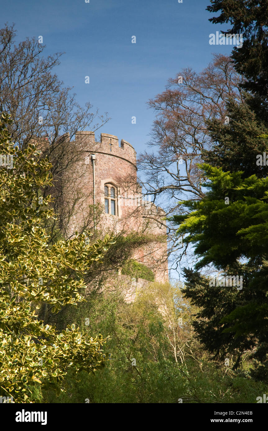 Dunster Castle Turret seen through the trees in spring, Dunster ...