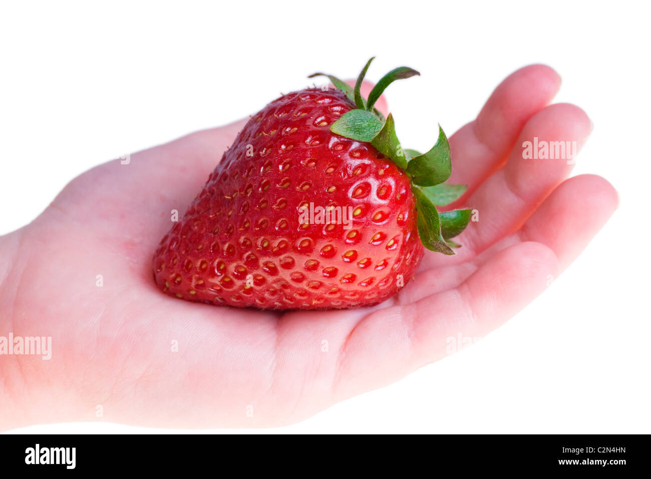One strawberry in hand, isolated on white Stock Photo - Alamy