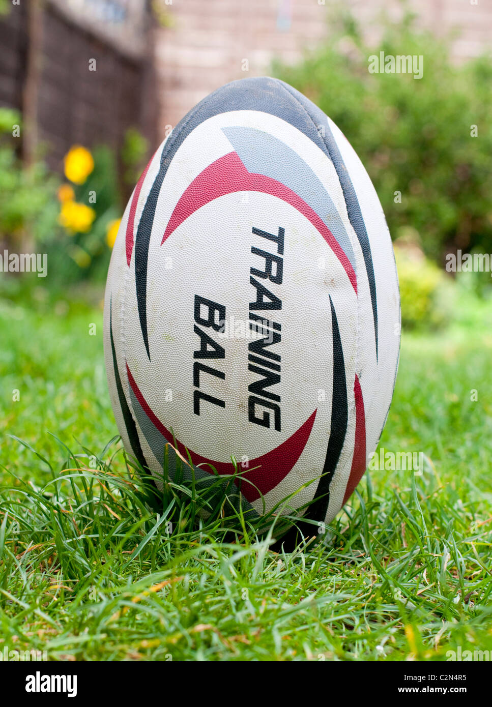 A rugby Ball on a grass field Stock Photo - Alamy