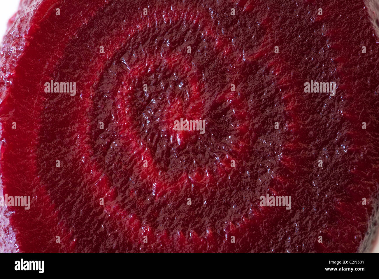 Root Section High Resolution Stock Photography and Images - Alamy