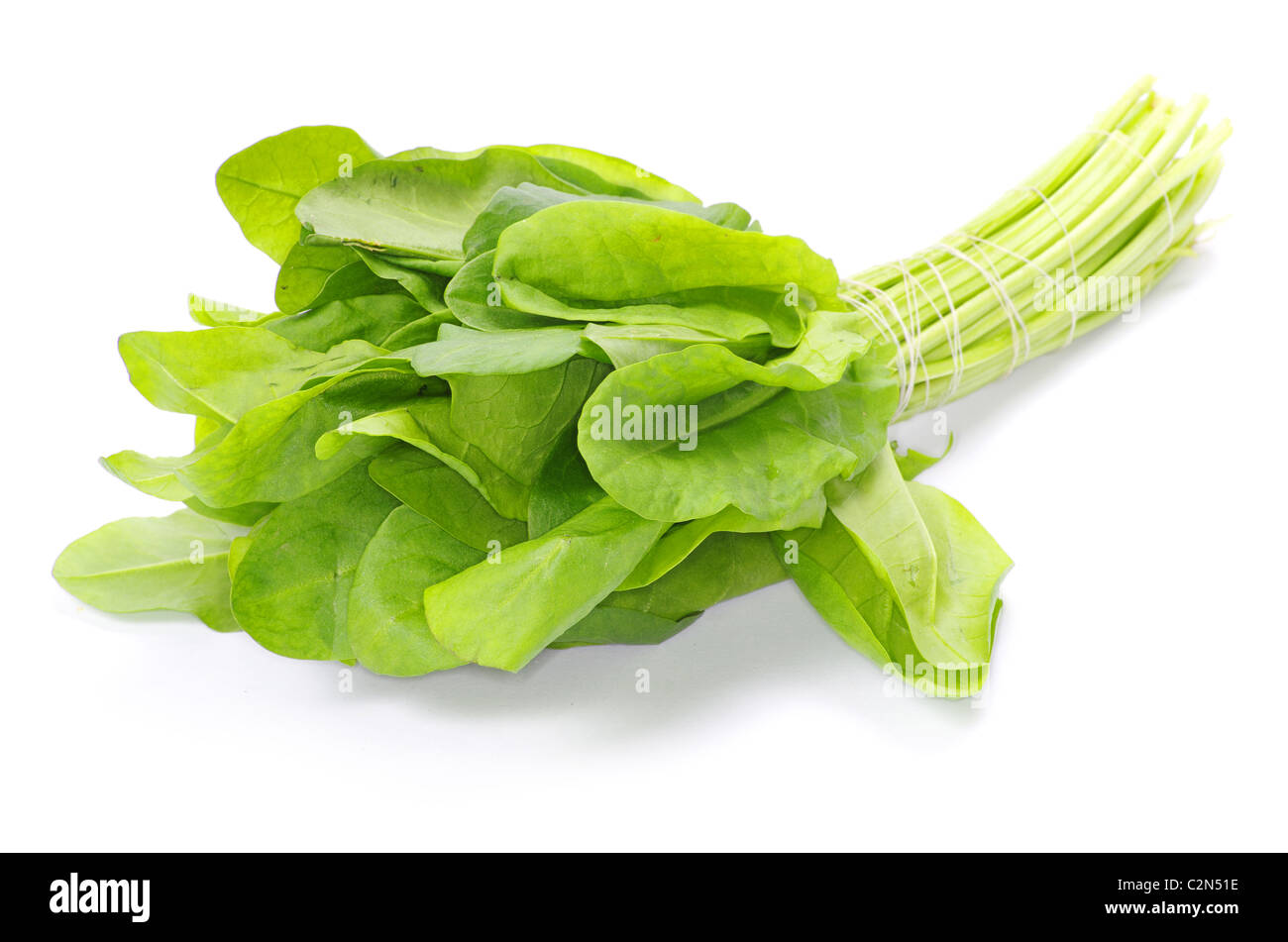 Sorrel leaves on white Cut Out Stock Images & Pictures - Alamy