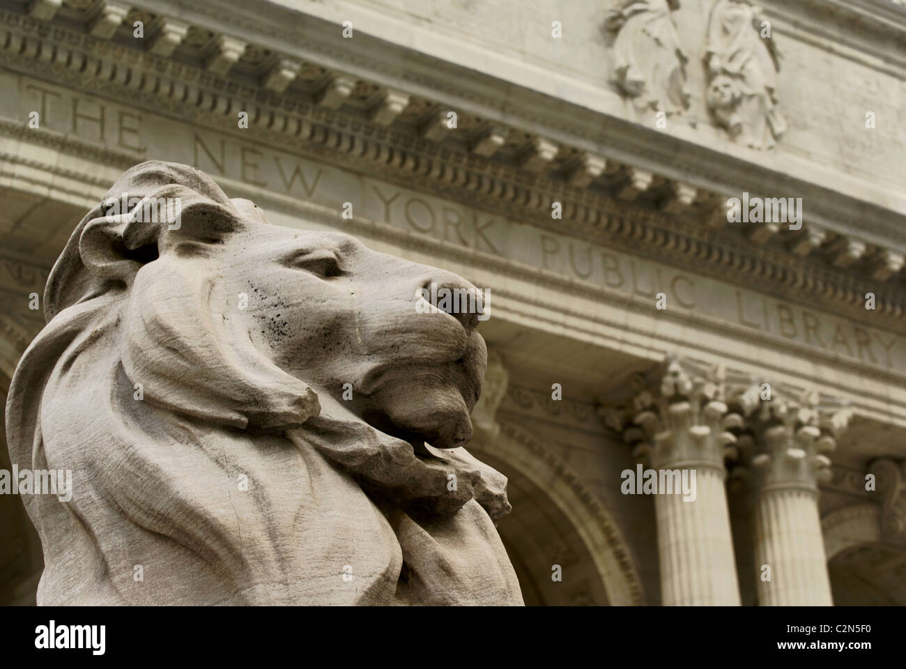 New york public library lion hi-res stock photography and images - Alamy