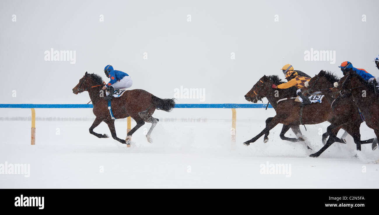 St Moritz Horse Jockey High Resolution Stock Photography and Images - Alamy