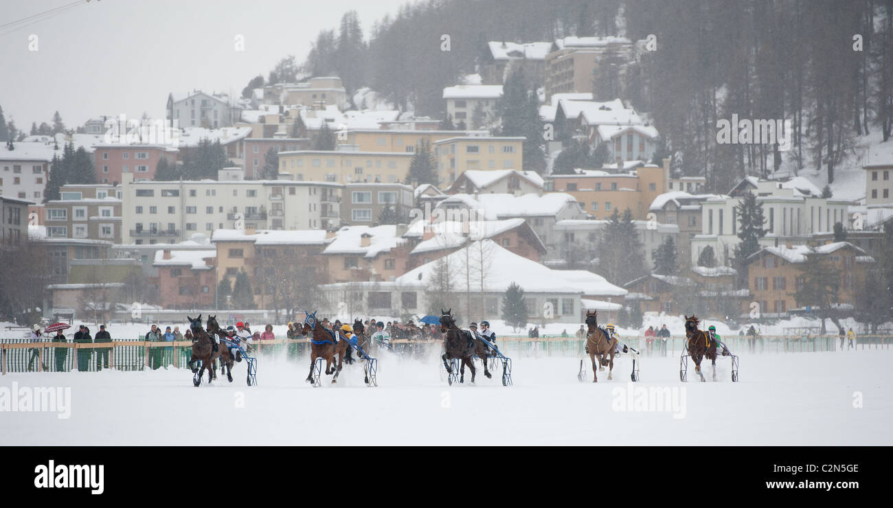 Switzerland horse hi-res stock photography and images - Alamy