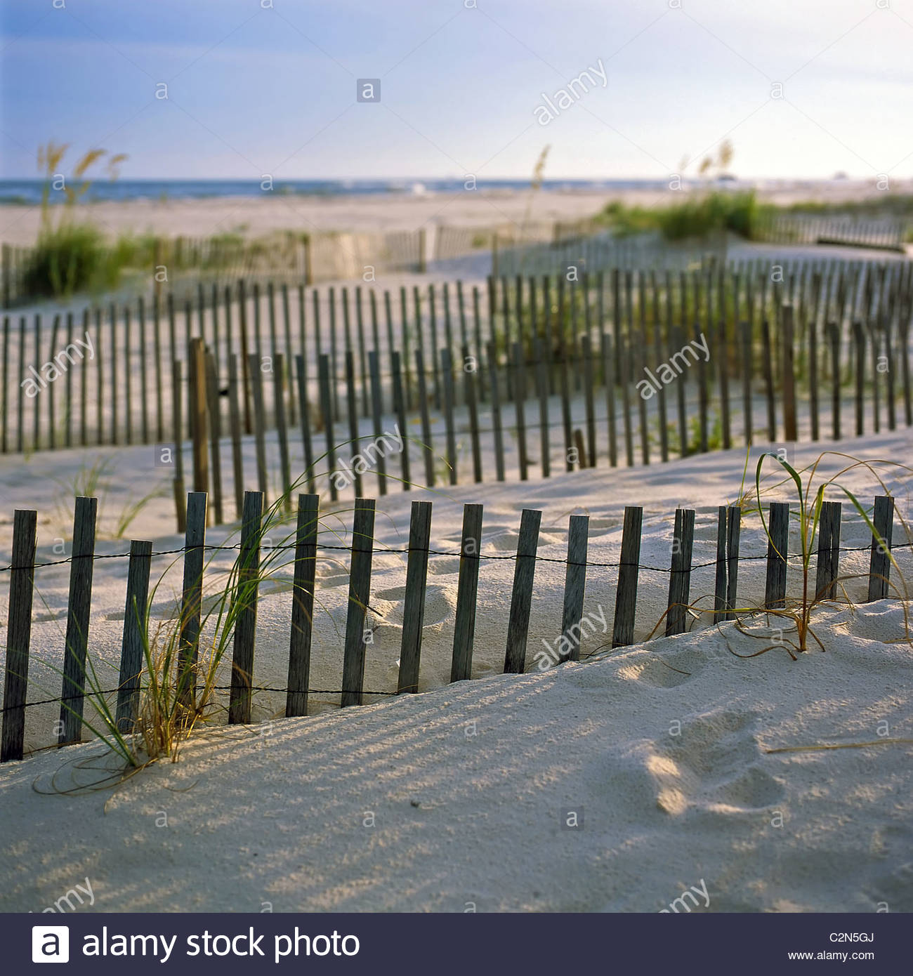 Fences For The Protection Of The Dunes High Resolution Stock ...