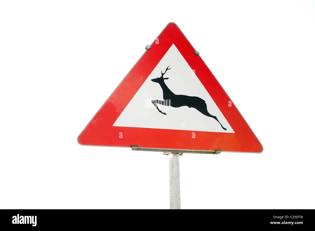 Traffic sign warns about animals by the road Stock Photo - Alamy