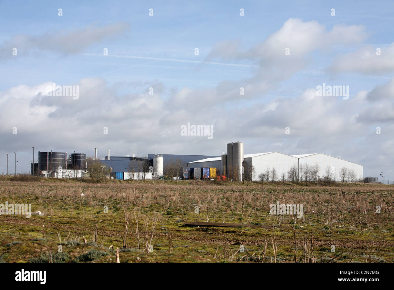 Large scale dairy production hi-res stock photography and images - Alamy