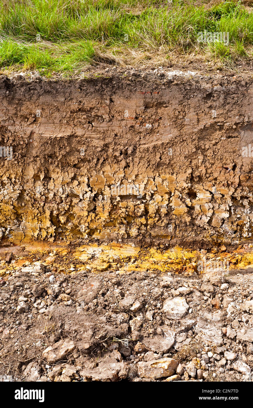 Cutting soil earth section hi-res stock photography and images - Alamy