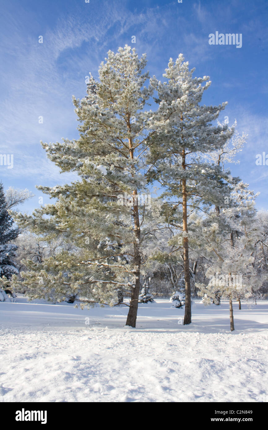 Saskatchewan winter hi-res stock photography and images - Alamy