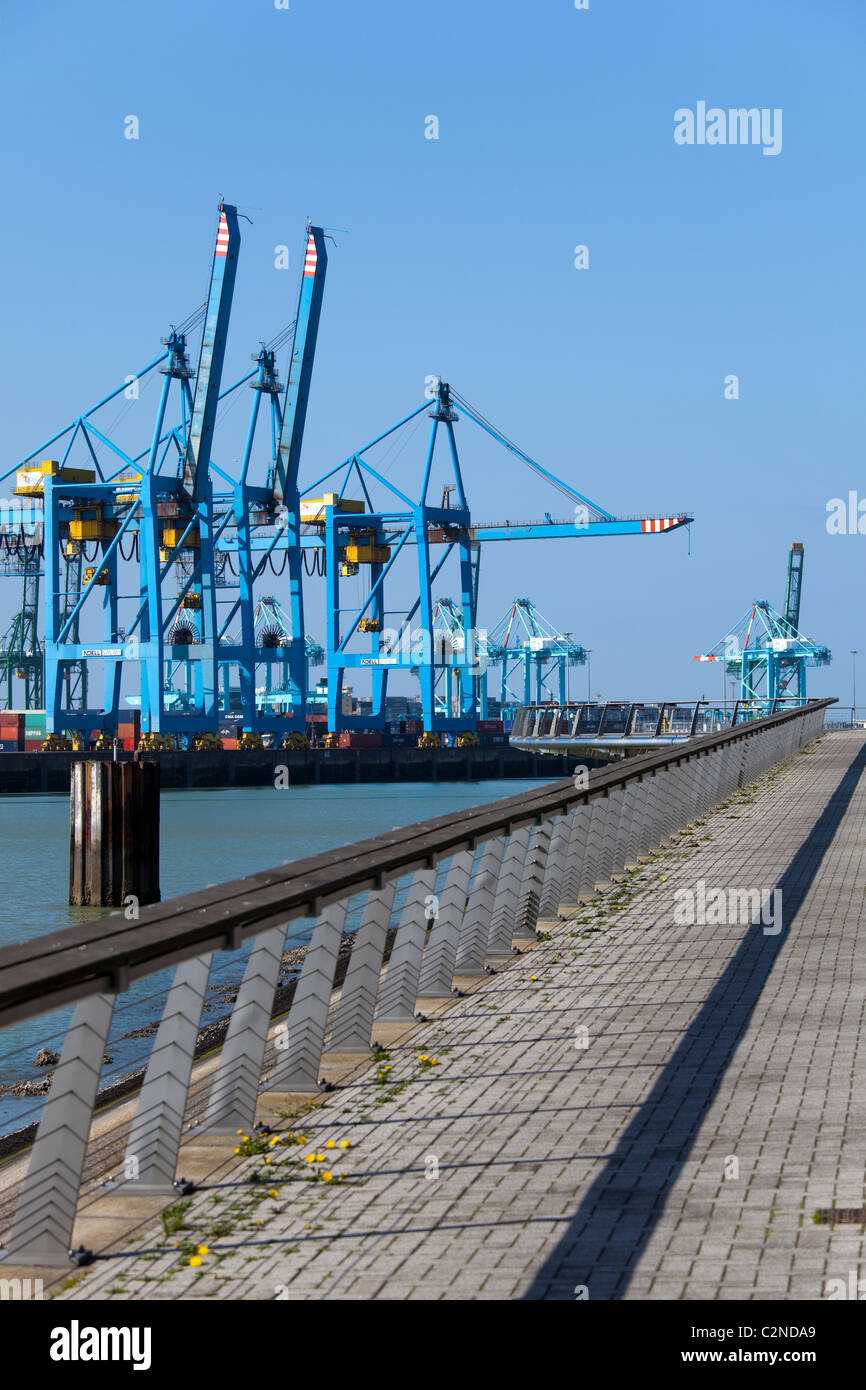 Zeebrugge ferry hi-res stock photography and images - Alamy