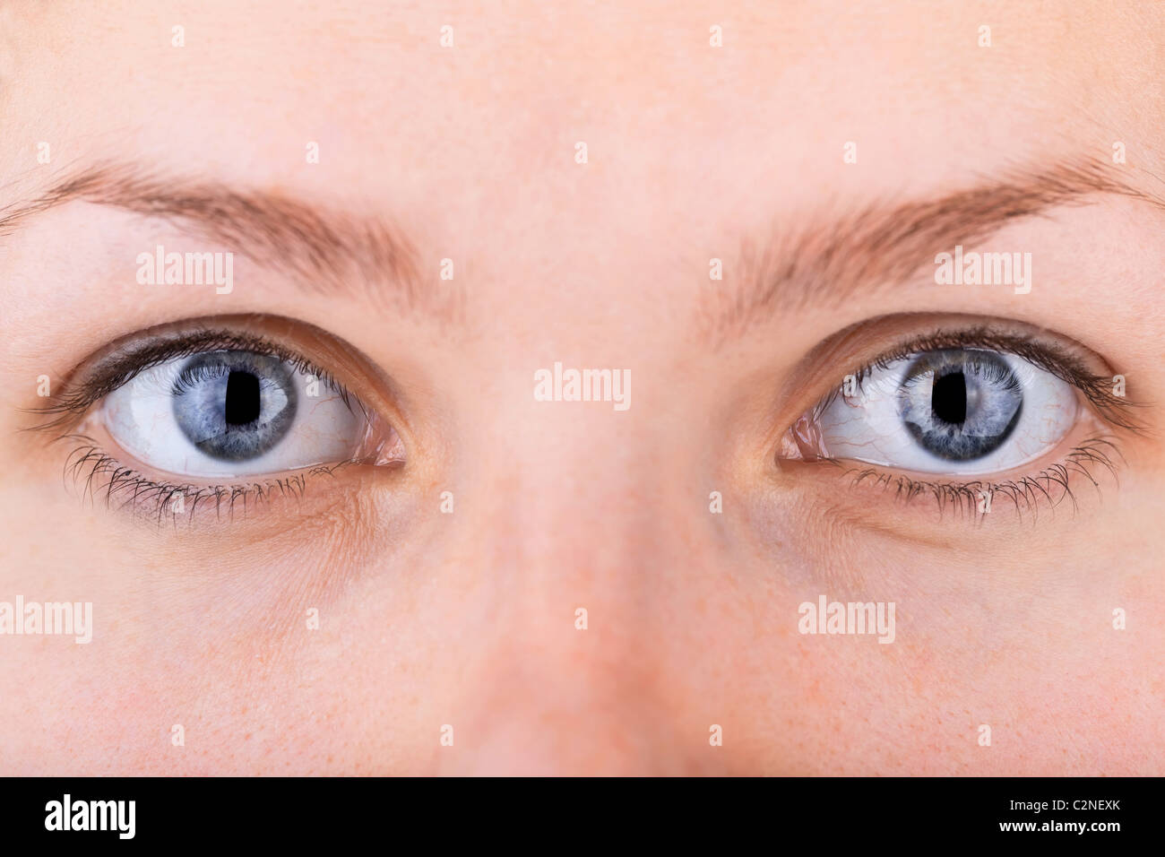 Pair of eyes human closeup hi-res stock photography and images - Alamy