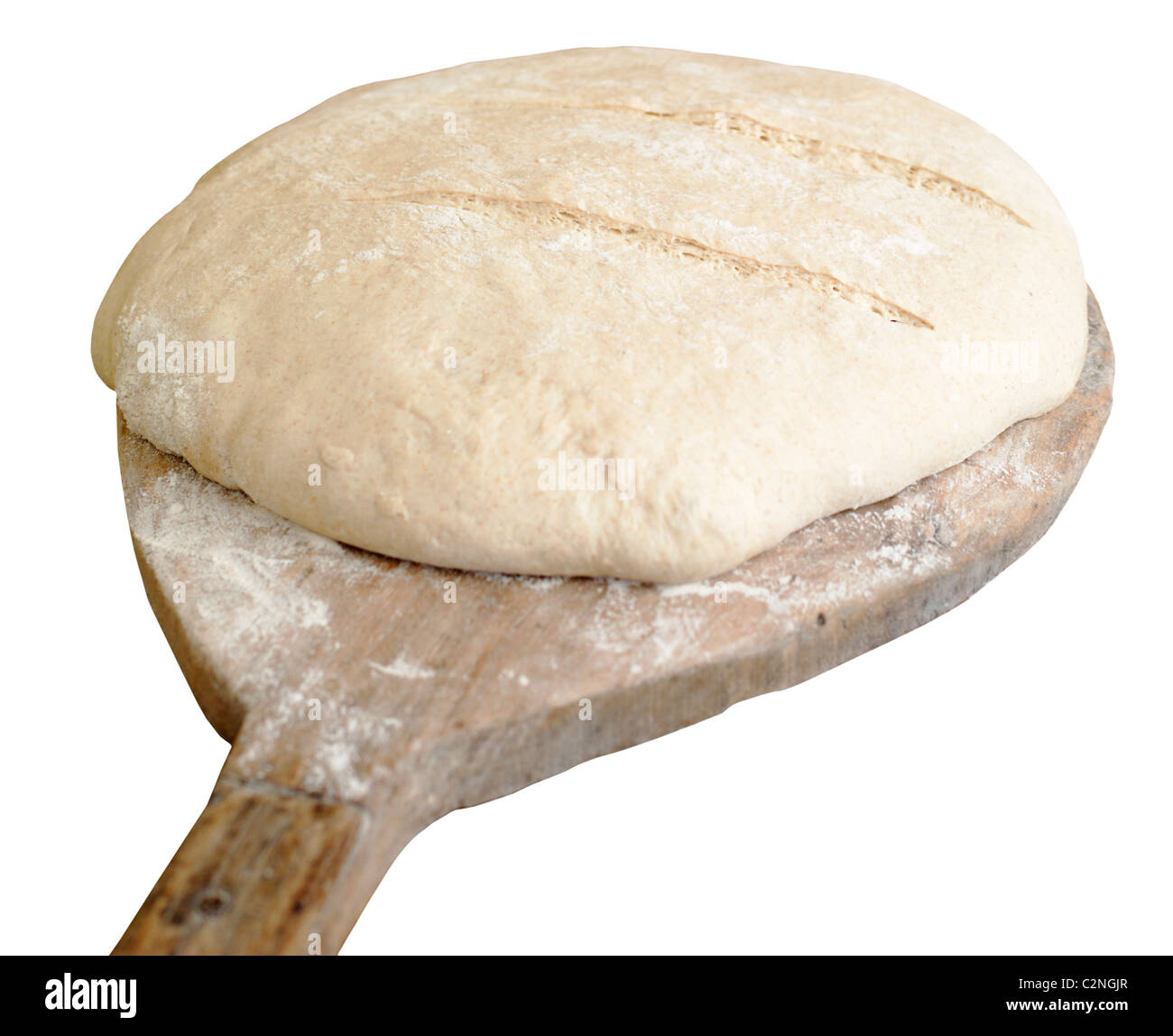 Cut out of Italian traditional bread (pagnotta) on wooden spatula ready ...