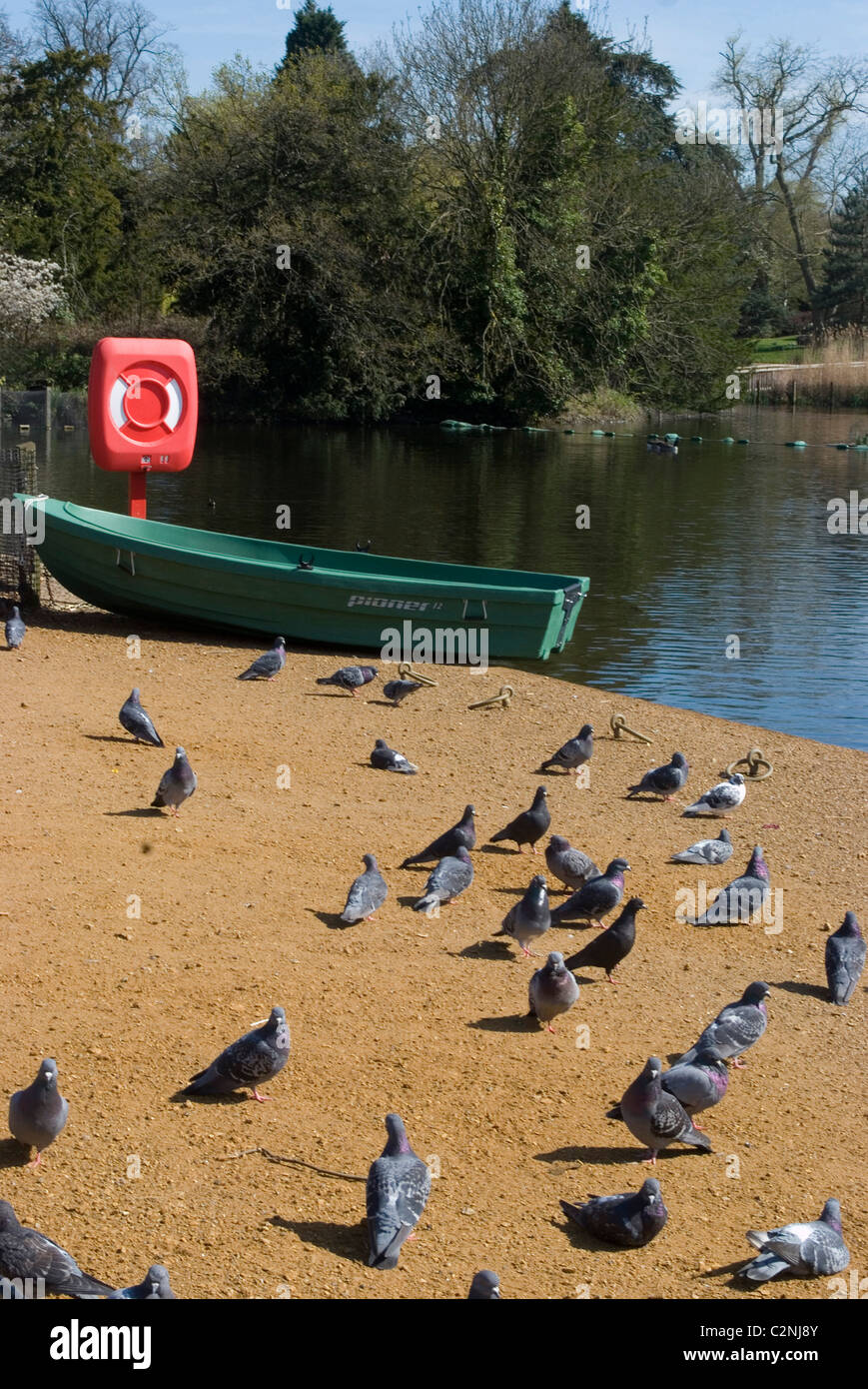 Boating lake with boat and pigeons, Dulwich Park, Dulwich Village ...